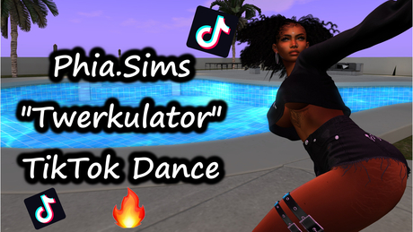 Second Life Marketplace - Phia.Sims Twerkulator TikTok Dance Animation